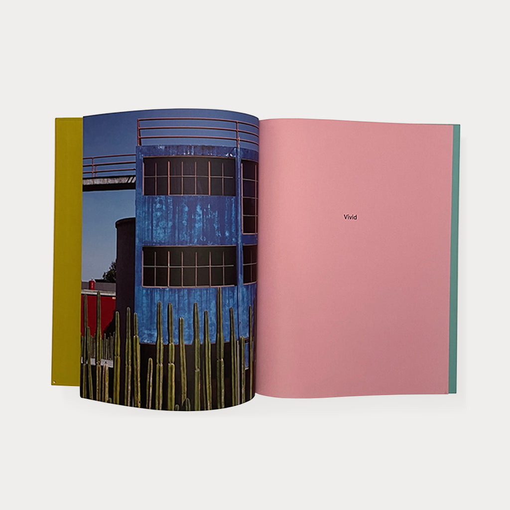 Vivid: Style In Colour – Festoon